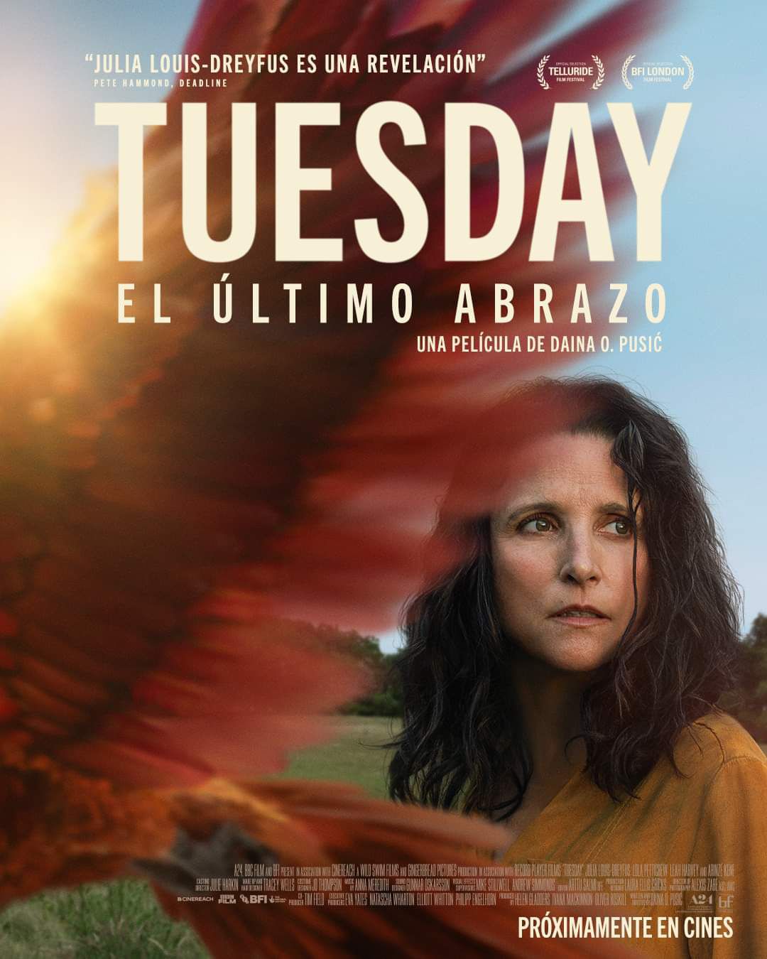 Crítica: Tuesday, El último abrazo | La Butaca Web